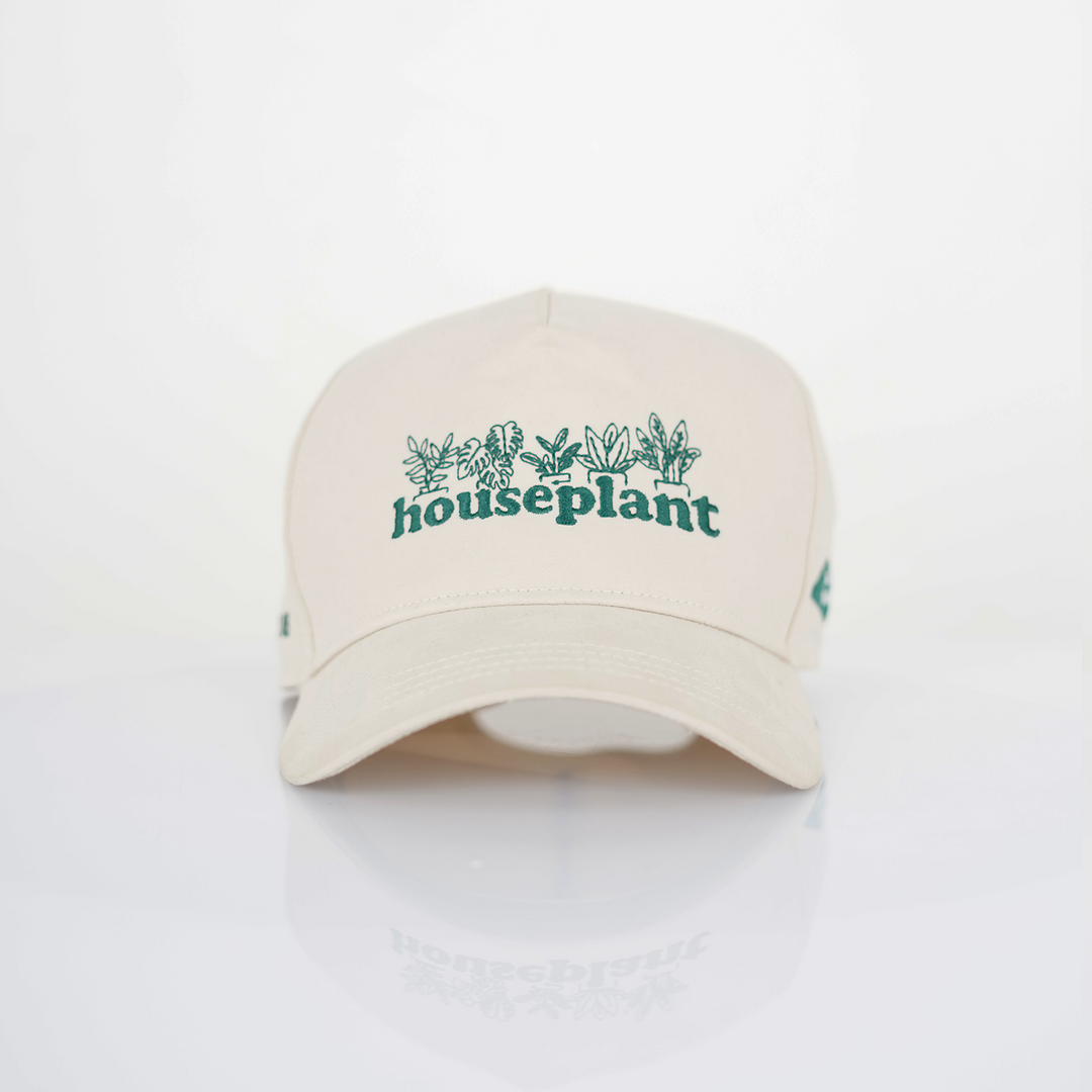 Exposition 003 – Uppercuts™️